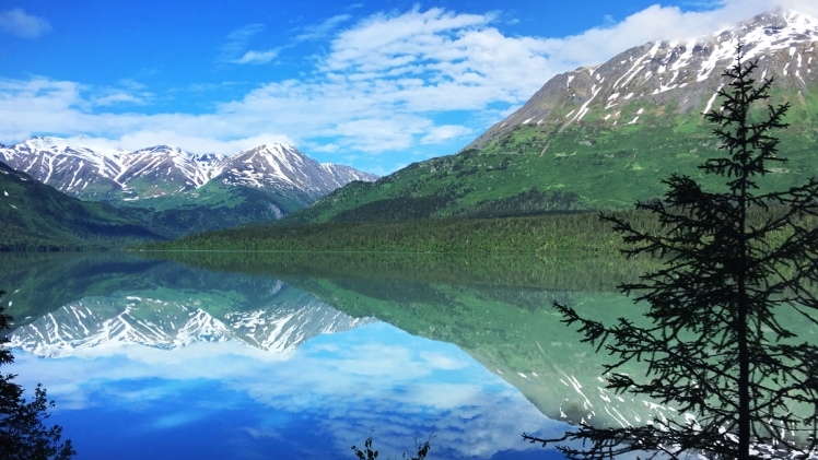 What Landlords Should Know About Alaska Background Checks